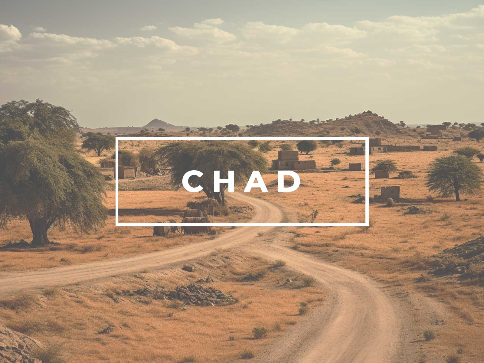 Chad - OOAworld